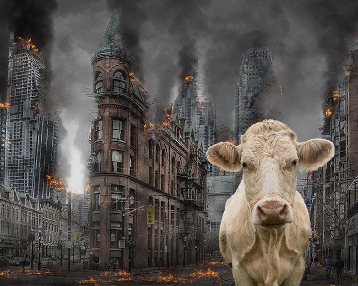 Apocalypse Cow Collage Art Digital Art Surreal Art Digital - Etsy