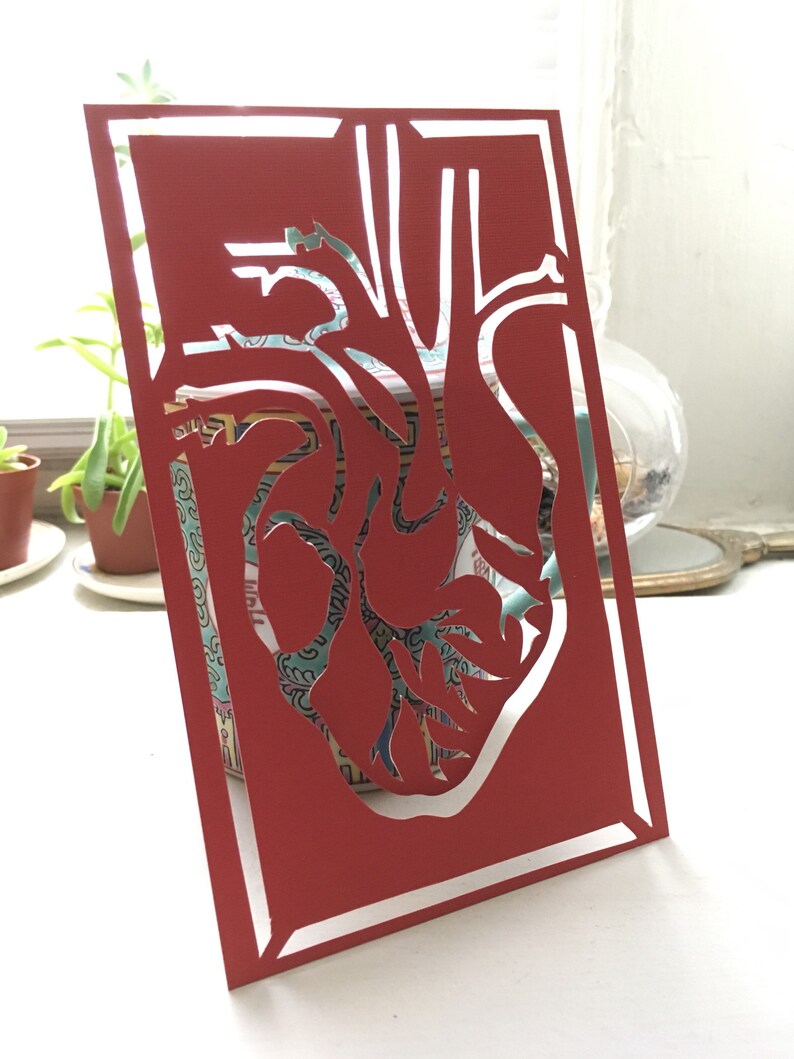 Anatomy of a Heart - Papercut, Paper Cut-out - Etsy