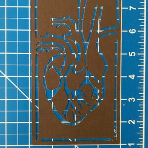 Anatomy of a Heart - Papercut, Paper Cut-out - Etsy