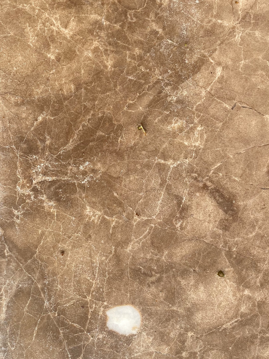 Brownish Quartzite Raw Slab Display Centerpiece - Etsy