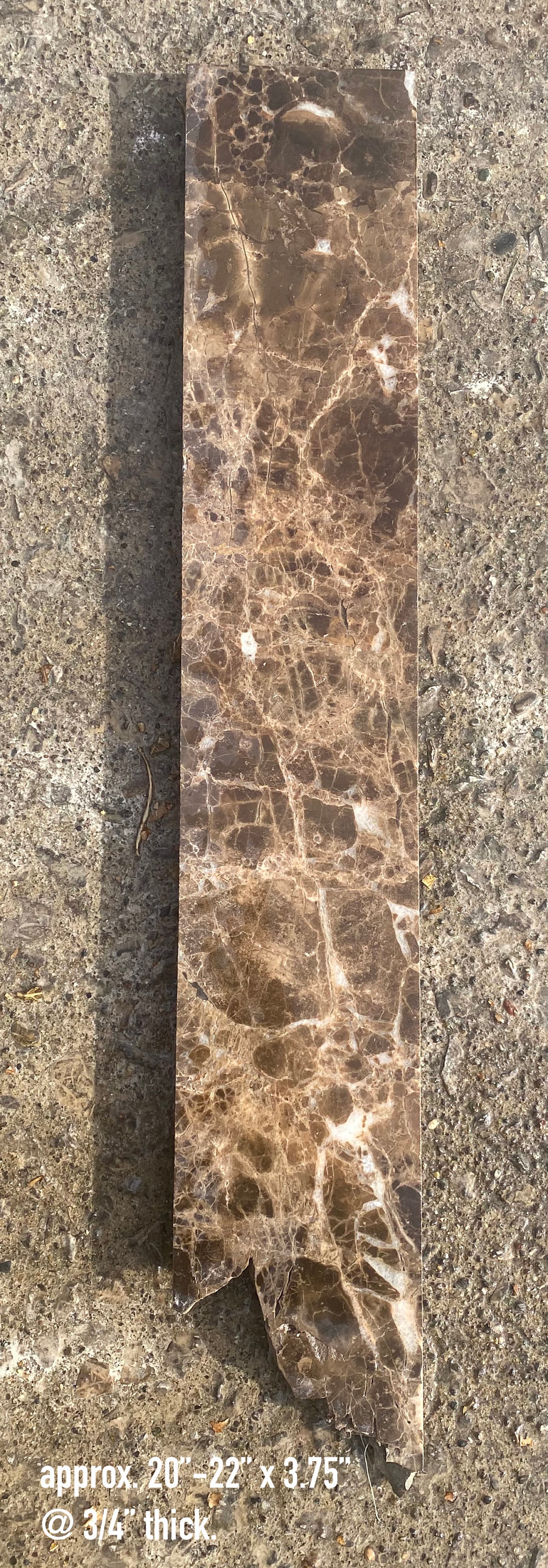 Dark Brown Quartzite Raw Slab Display Centerpiece - Etsy