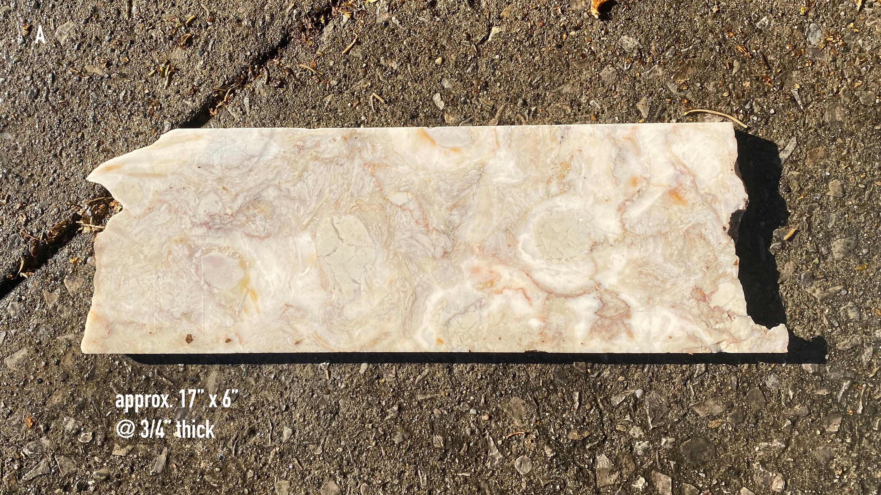 Off-white Quartzite Raw Slab Display Centerpiece - Etsy