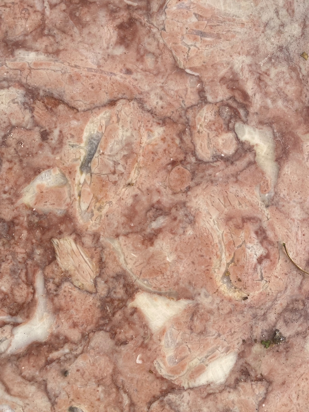 Pink Quartzite Raw Slab Display Centerpiece - Etsy