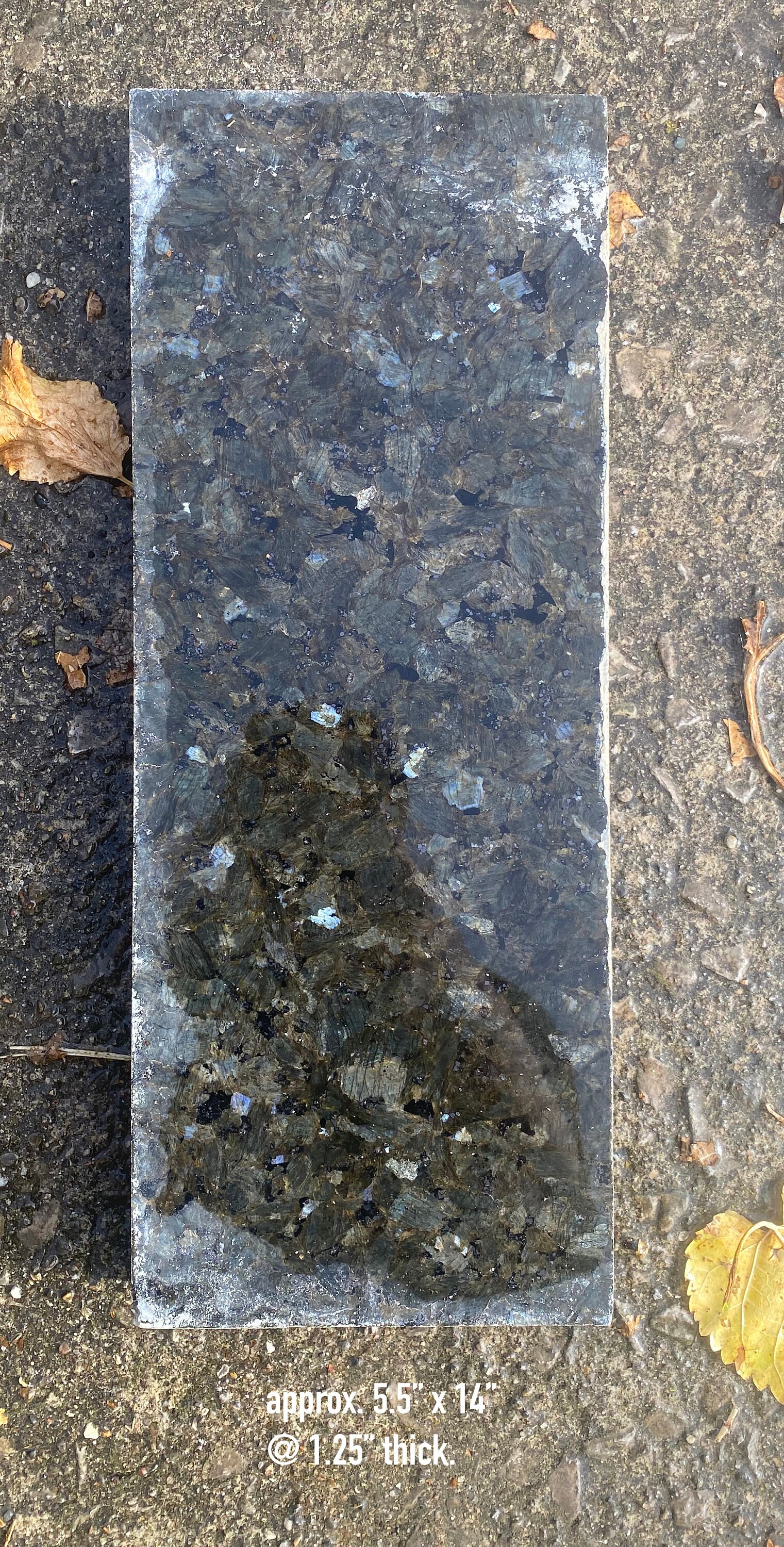 Mica Granite Raw Slab Display Centerpiece - Etsy