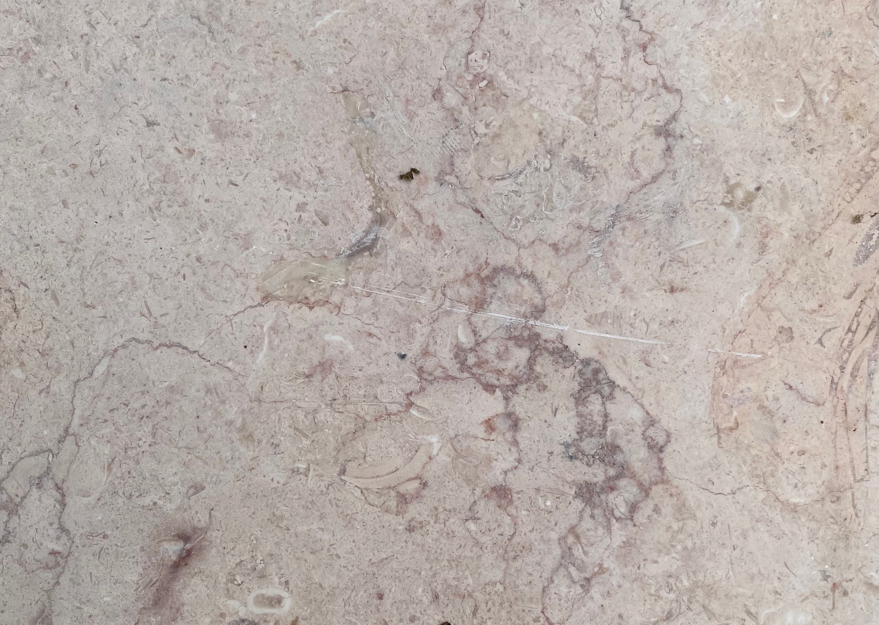 Travertine Raw Slab Display Centerpiece - Etsy