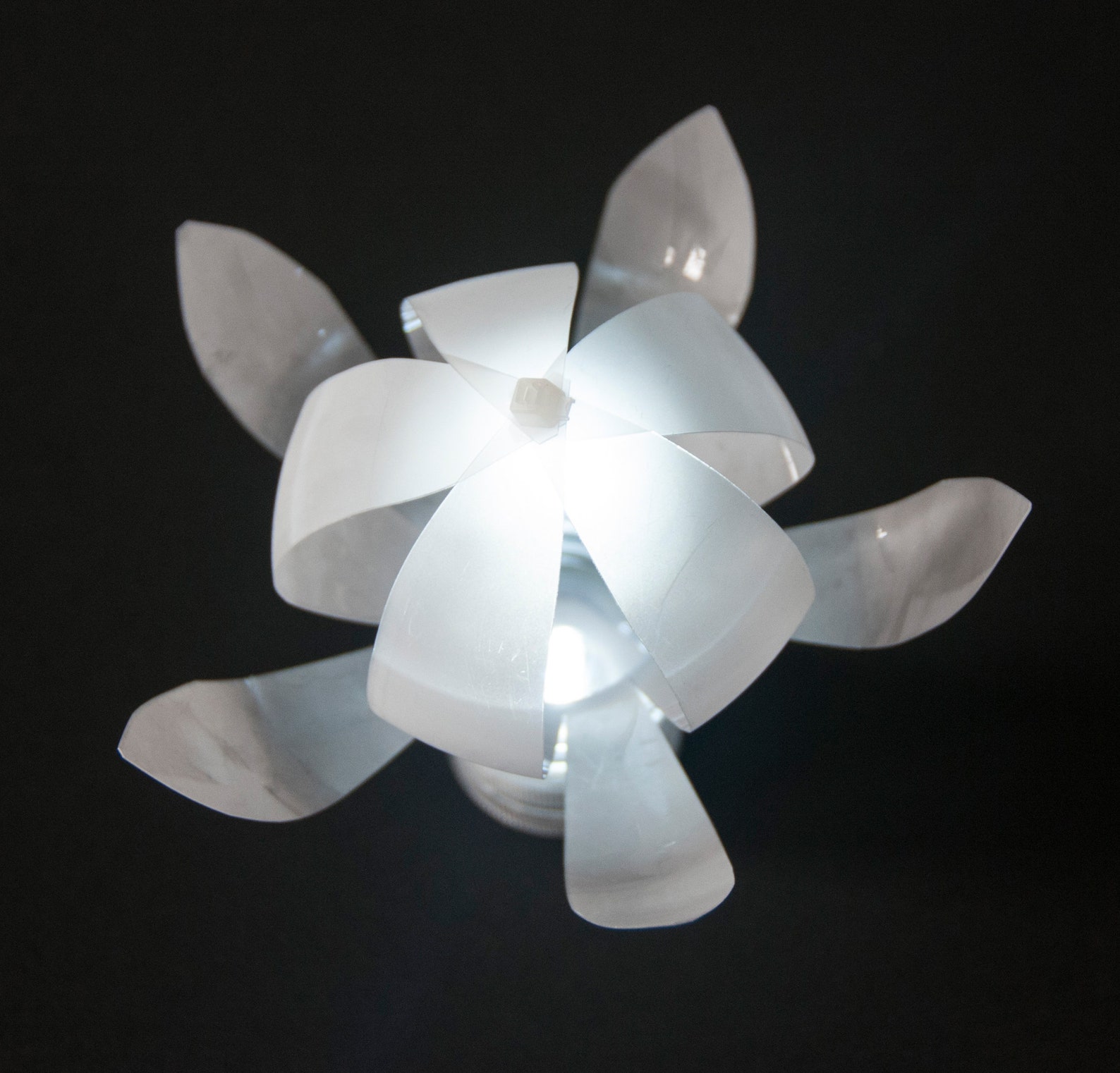 Set of 6 LED Plastic Bottle Flowers one in Each Style | Etsy Australia