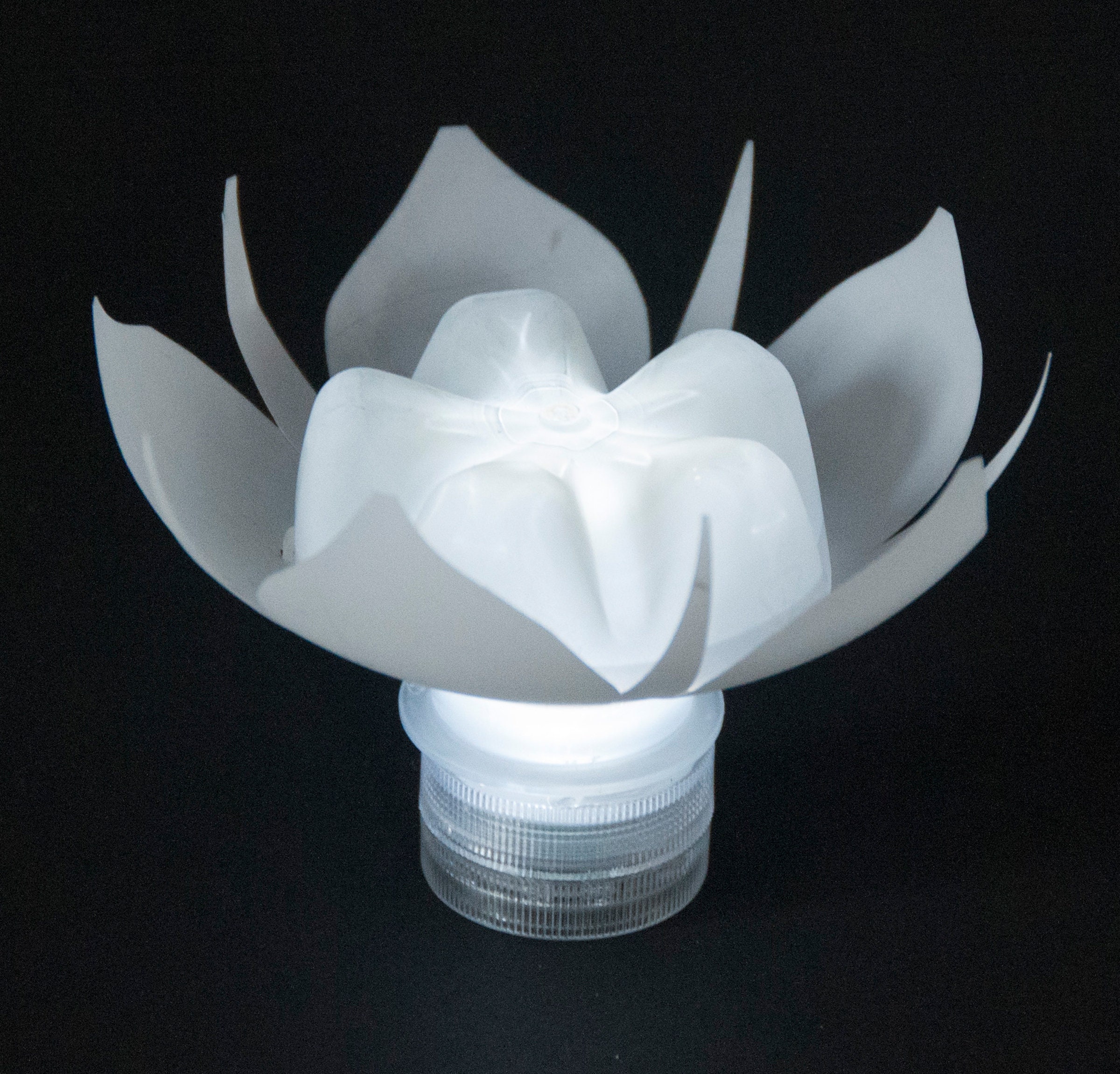 Set of 6 LED Plastic Bottle Flowers (one in Each Style) - Etsy UK