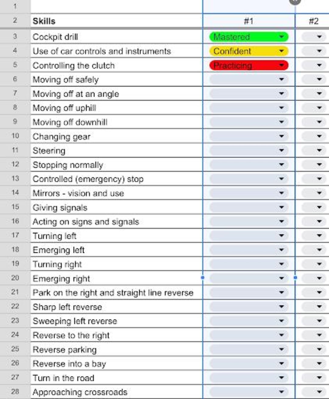 Driving Lesson Progress Tracker (for Learners and Instructors) - Etsy UK