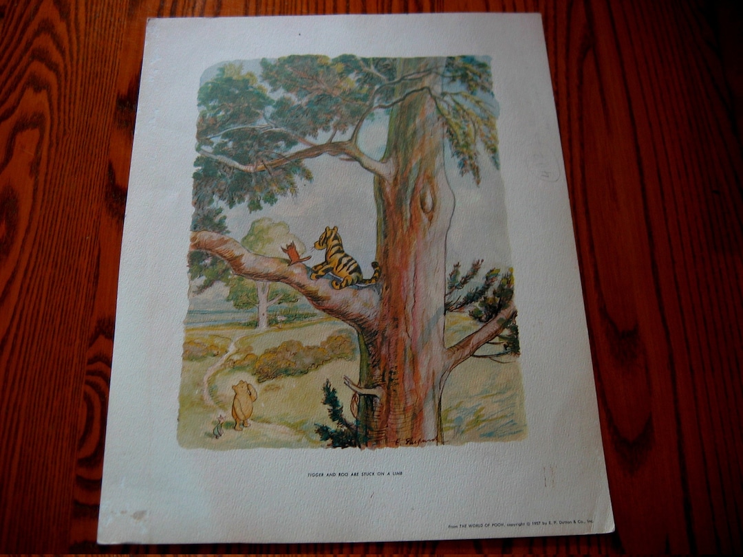 Classic EH Shepard Winnie the Pooh Illustration From the World of Pooh ...