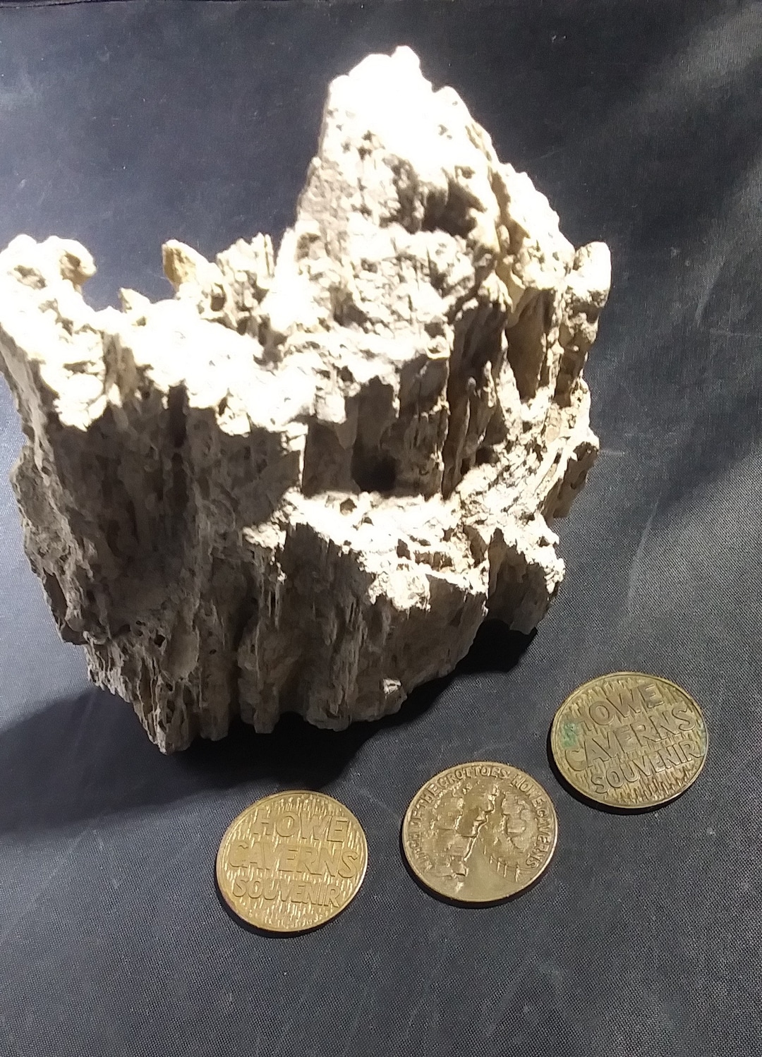 Nice Chunk of Petrified Wood/limstone(?) Plus 3 Vintage Coins From HOWE ...