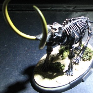 Prehistoric Woolly Mammoth Skeleton Model- 6" Long W/base Assembled and ...