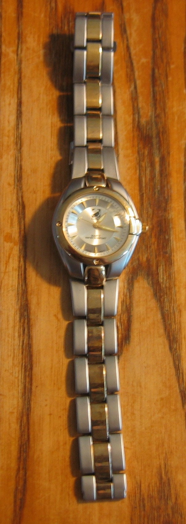 Two Tone Men's CLIQUE Watch All Stainless Steel, Water Resistant ...