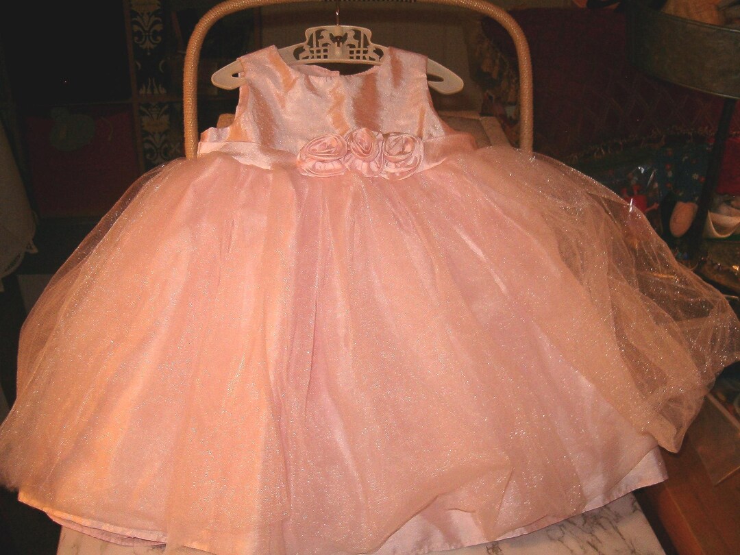 Pale Pink Silk and Netting, Girl's Dressy Dress, Sz 18 M0, Lined ...