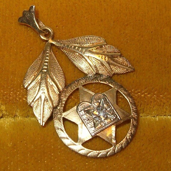 Jewish Star, Circle, Tablet, Leaves, Heavy Pendant, 1… - Gem