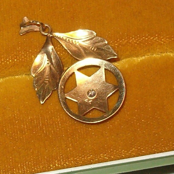 Jewish Star, Circle, Tablet, Leaves, Heavy Pendant, 1… - Gem