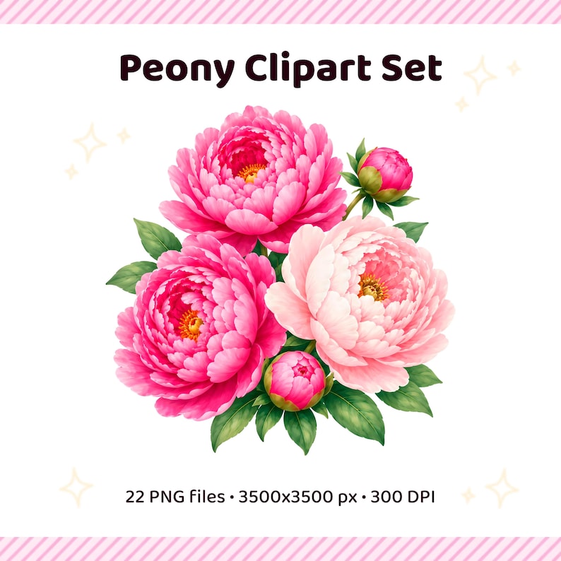 Peony Clipart Bundle, Flower Clip Art, 22 Pngs With Transparent ...