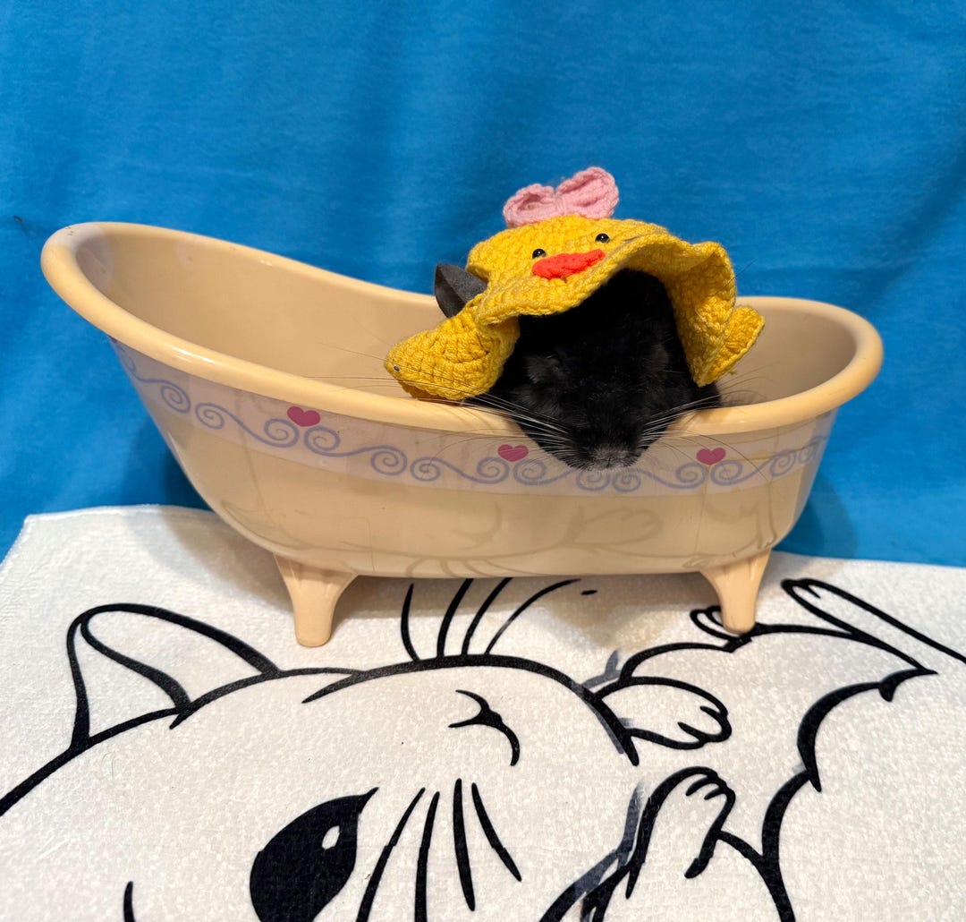 Chilldust – Chinchilla and Degu Bathing Pumice 5lbs - Etsy
