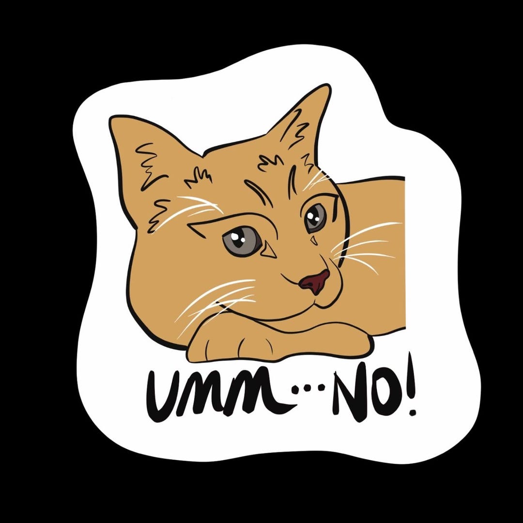 Umm…no! Cat Vinyl Sticker - Etsy