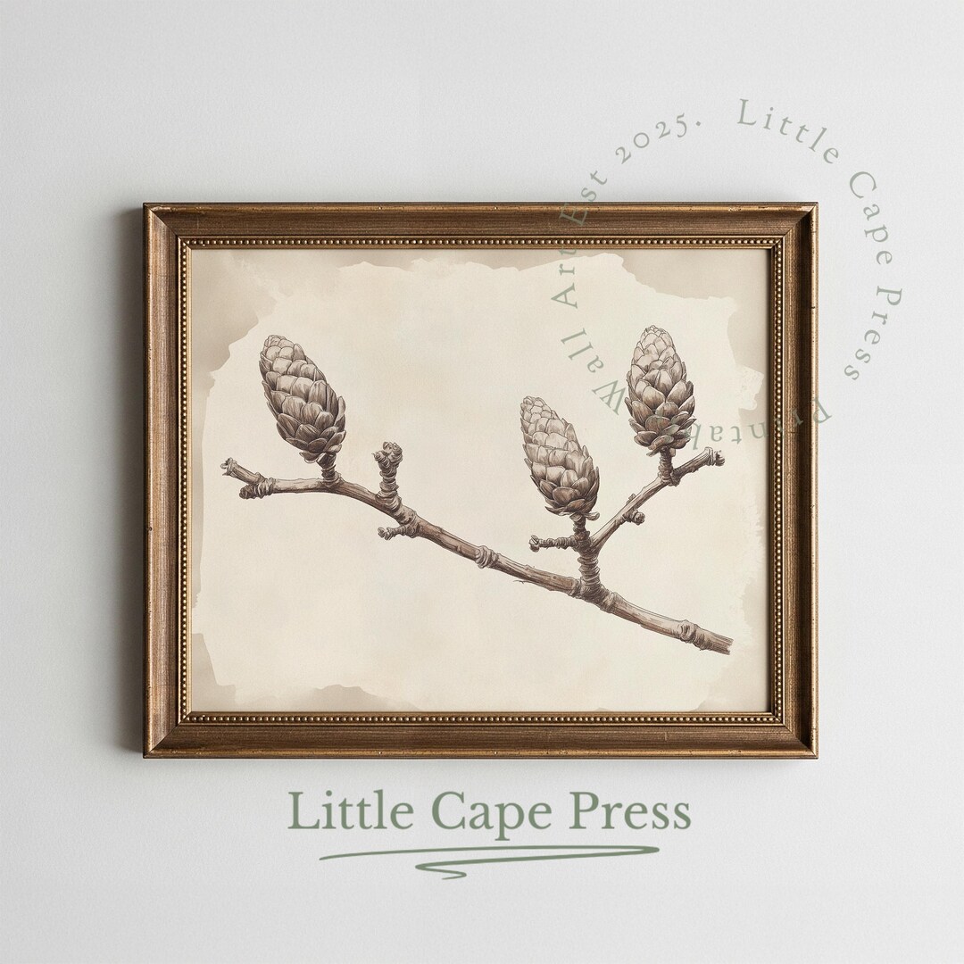 Vintage Printable Conifer Branch Art - Classic Rustic Botanical ...