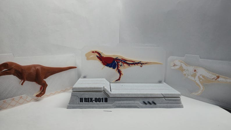 T-rex Anatomy "slice" Diorama | 3D Printed Layered Display | Light ...