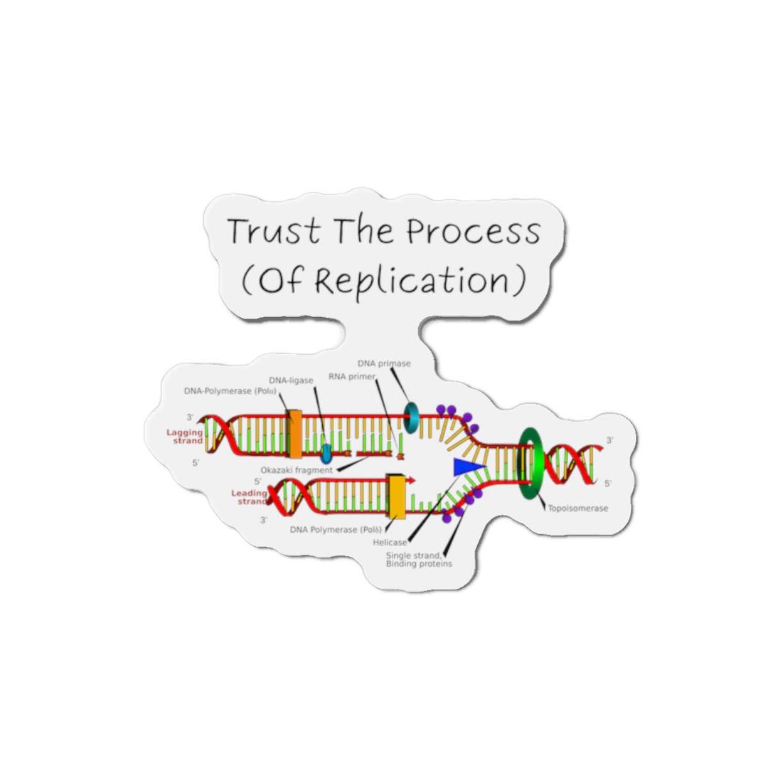 DNA Replication Diagram Die-cut Magnets | Trust the Process Science ...