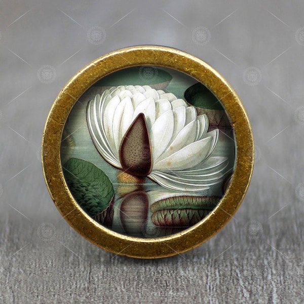 Decorative Knobs - Etsy Australia