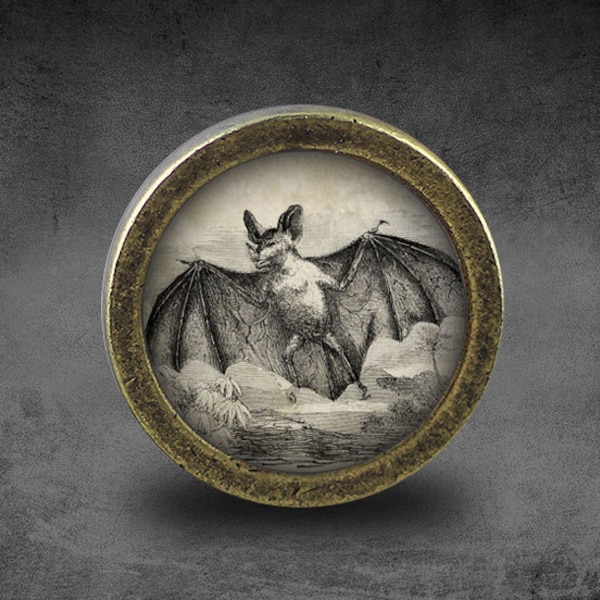 Bat Knobs - Etsy