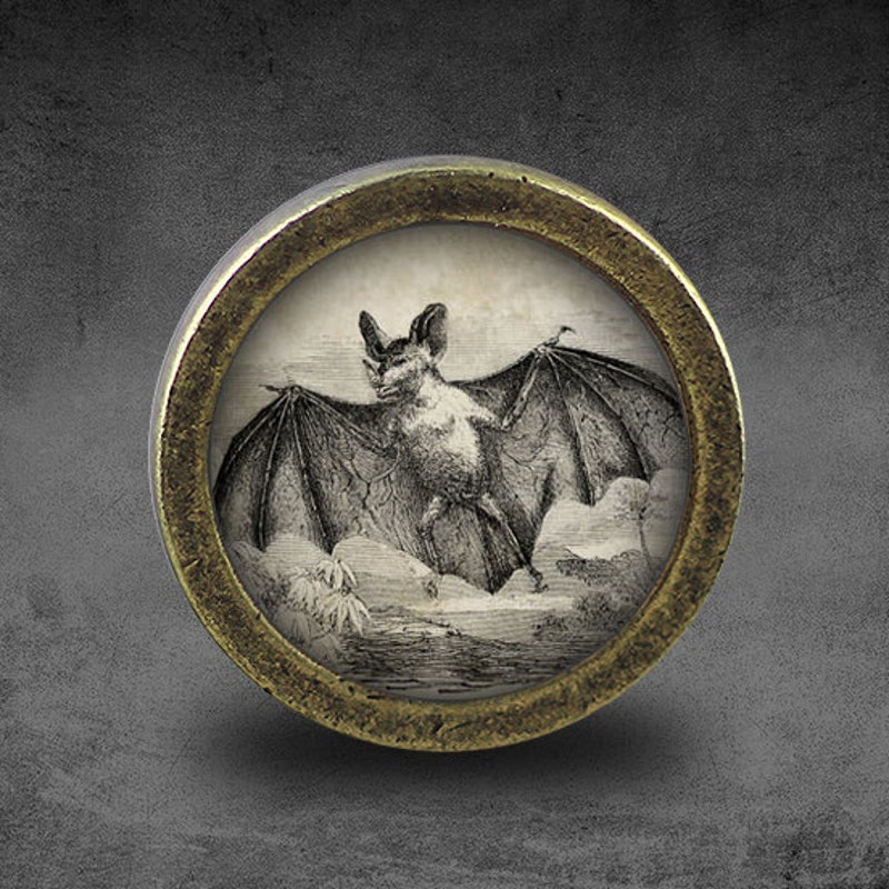 Bat Knobs - Etsy