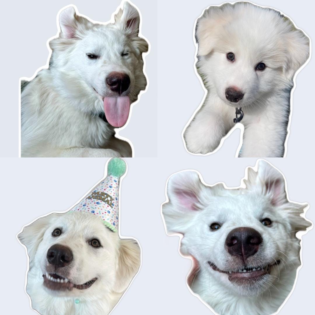 Banks - Stickers (multiple) - Etsy