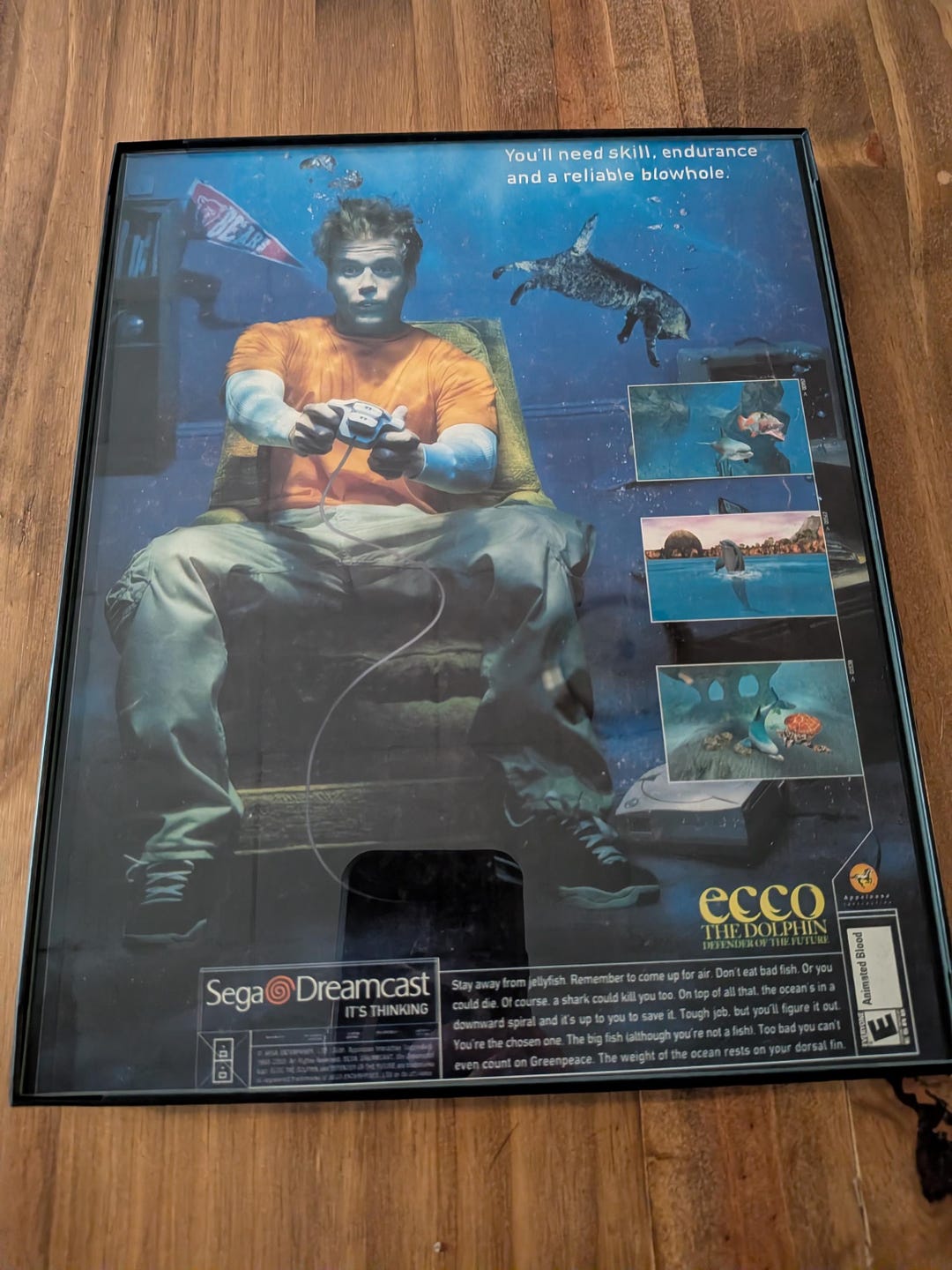 Ecco the Dolphin Defender of the Future (2000) 8x10 Vintage Framed ...