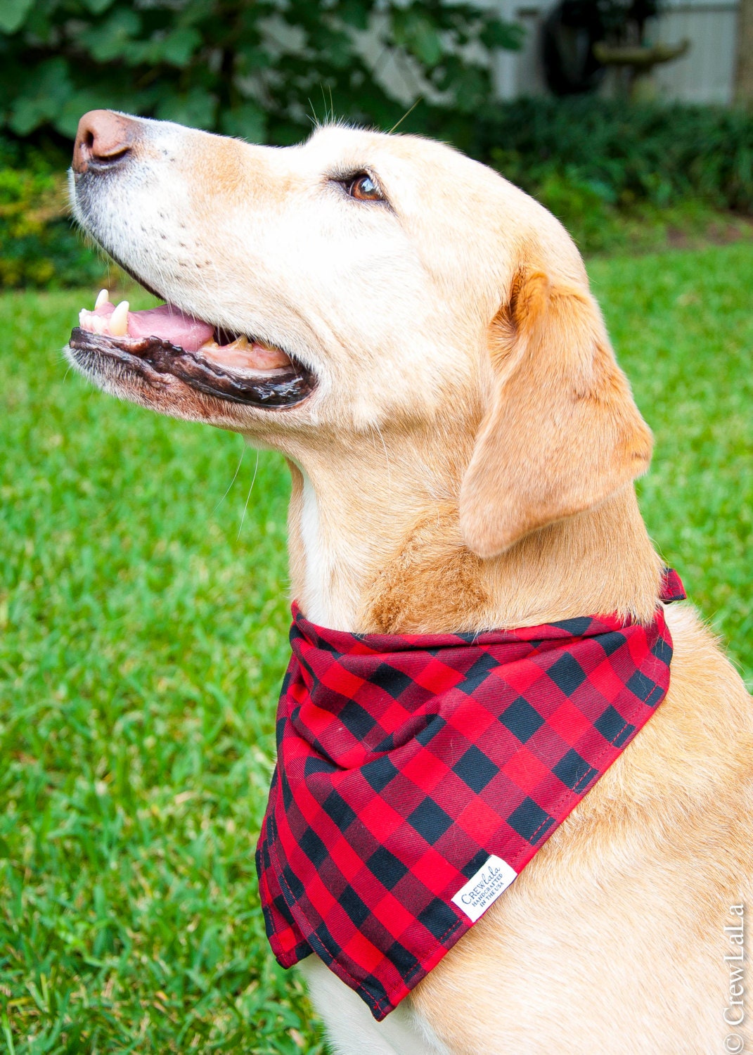 Crew LaLa™ Red & Black Buffalo Plaid Dog Bandana | Etsy