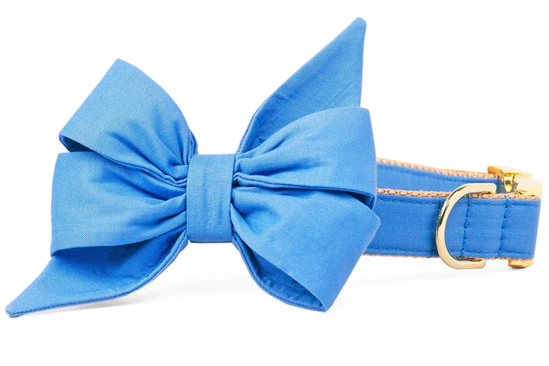 Crew Lala Copen Blue Belle Bow Dog Collar - Etsy