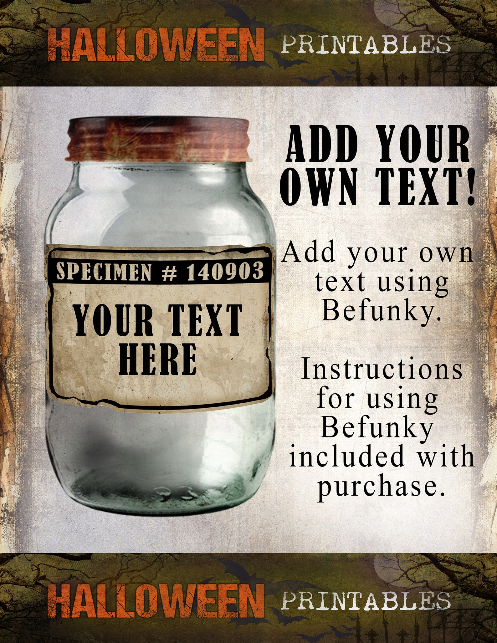 Blank Specimen Labels Vintage Style With Individual Numbers | Etsy