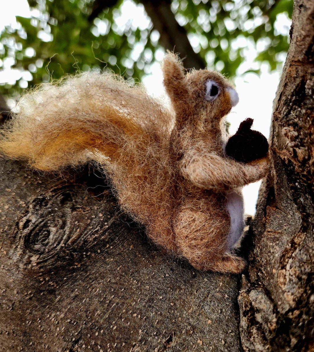 Needle Felted Little Squirrel - Etsy