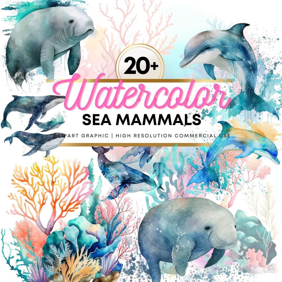 Watercolor Sea Mammals Clipart Bundle | 20+ Ocean Whale Dolphin Pngs ...