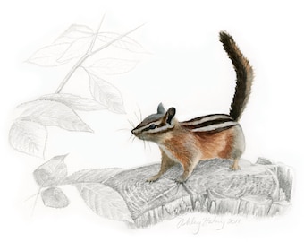 Woodland Nap A Cute Chipmunk Sleeping on a Forest Mushroom Illustration ...