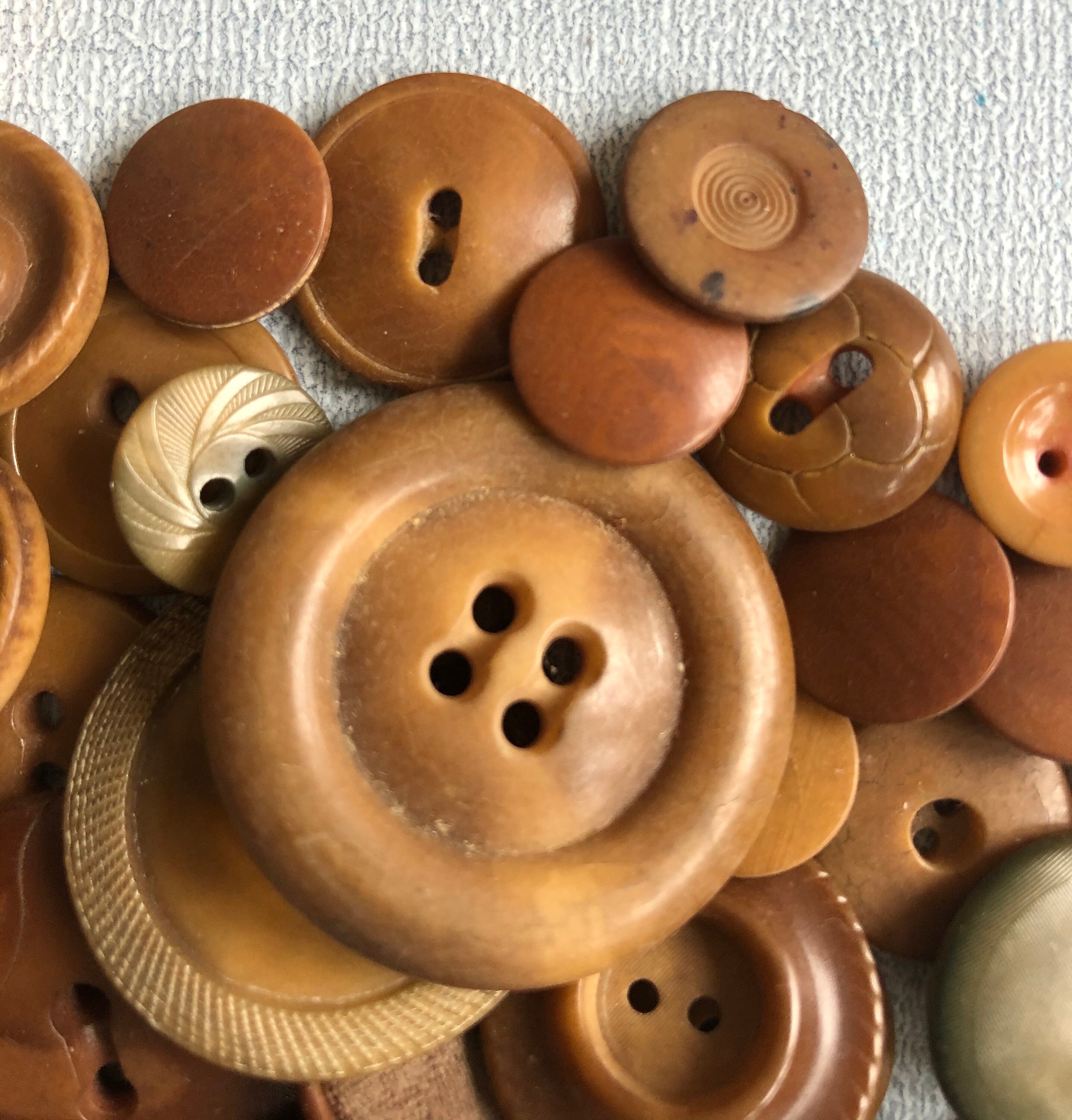 40 Random Vegetable Ivory/tagua Nut Buttons - Bulk, Mixed Lot - Etsy