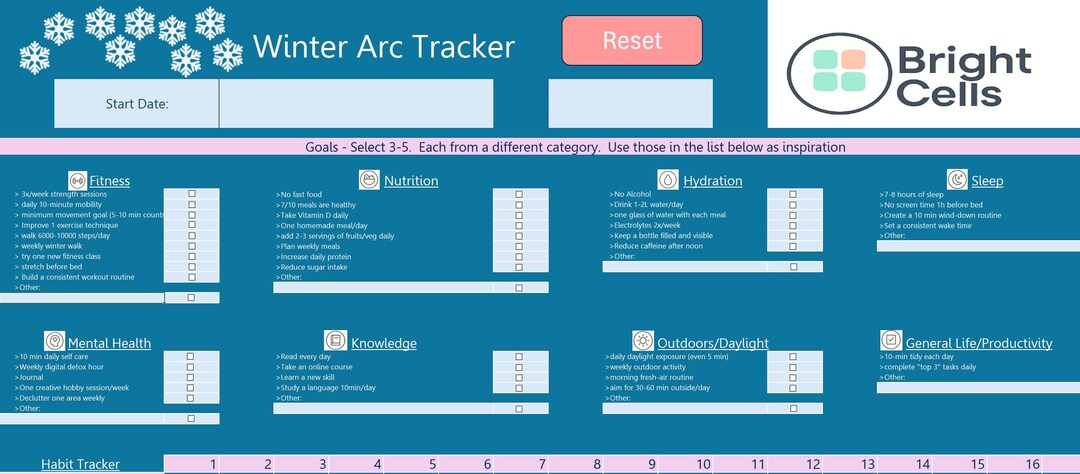 Winter Arc Goal Selection and Tracker - Etsy