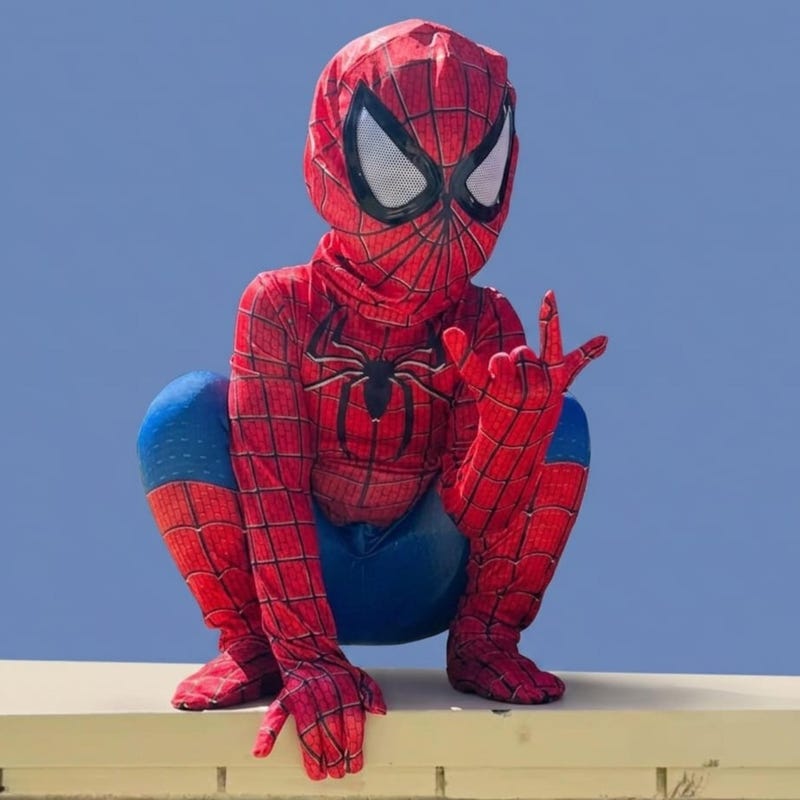 Spider Man Anime Cosplay - Etsy