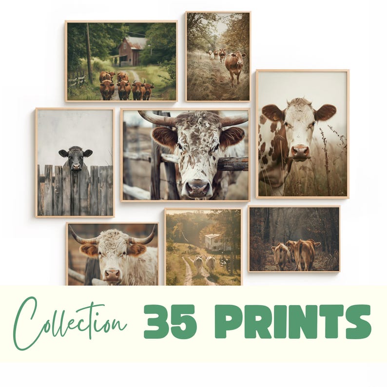 Highland Cow Wall Art Set of 35, Rustic Farm Vintage Countryside ...