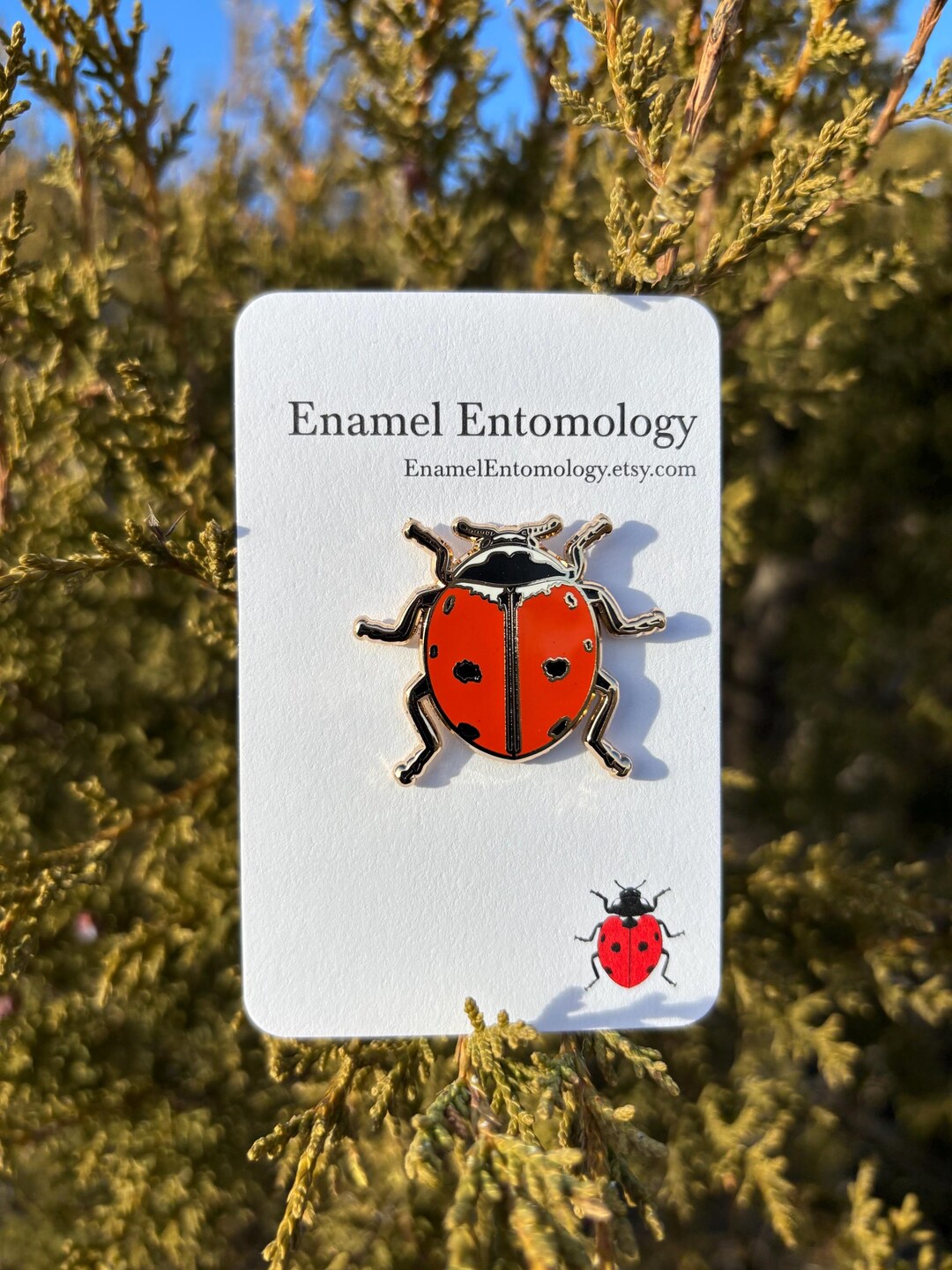 Nine-spotted Lady Beetle Enamel Pin - Etsy