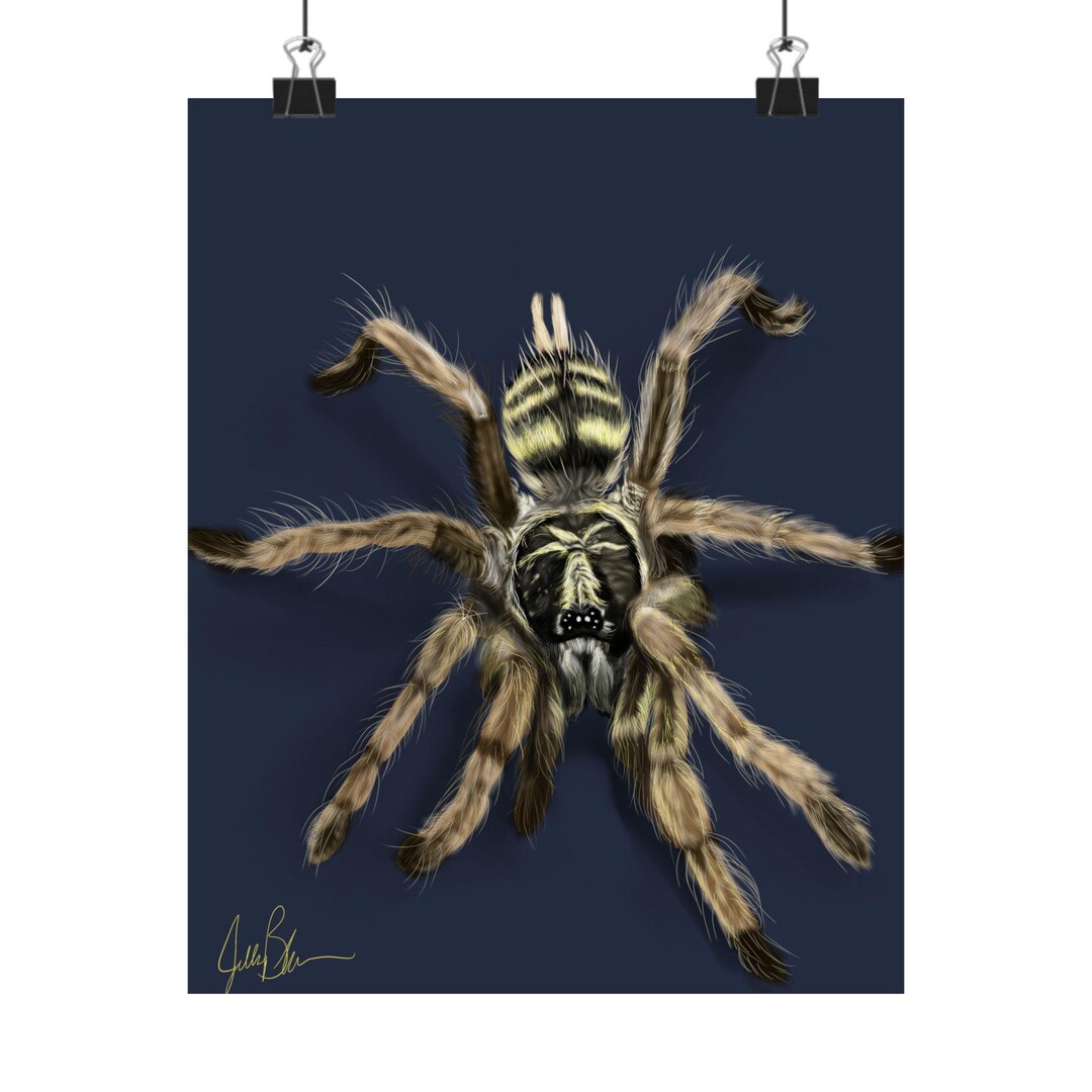 Bumblebee Tarantula Painting, Tarantula Art, Spider Decor, Matte ...