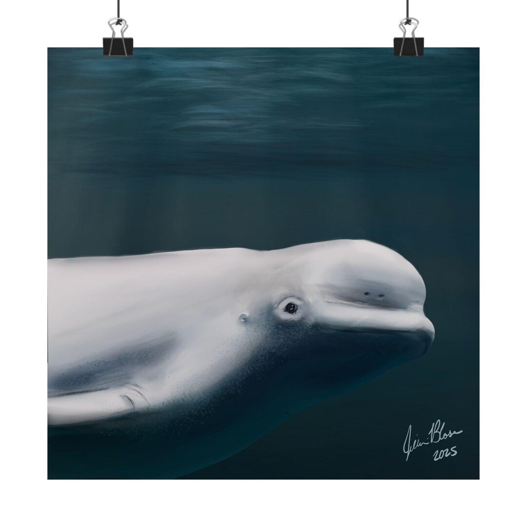 Beluga Whale Hand Painted Poster, Whale Art, Matte Horizontal Posters ...