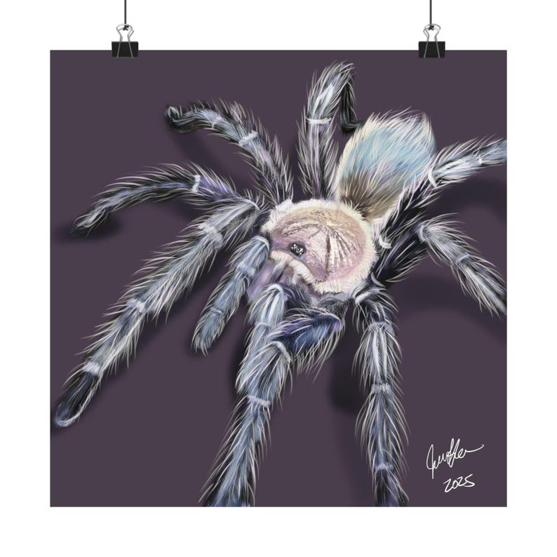 Purple Birdeater Tarantula Painting, Tarantula Art, Matte Horizontal ...