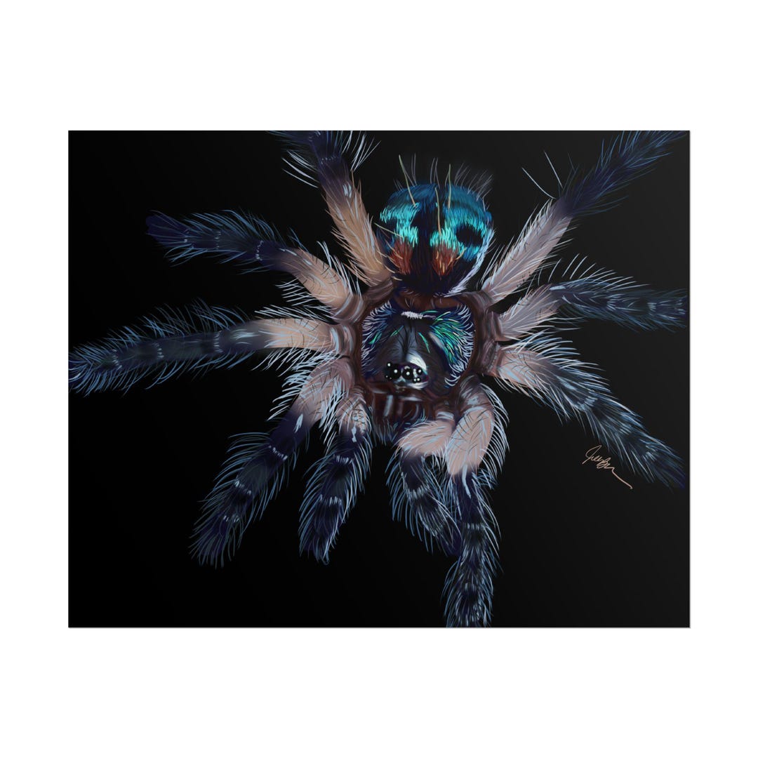 Tarantula Poster, Spider Art Print, Wall Decor, Nature Lover Gift ...
