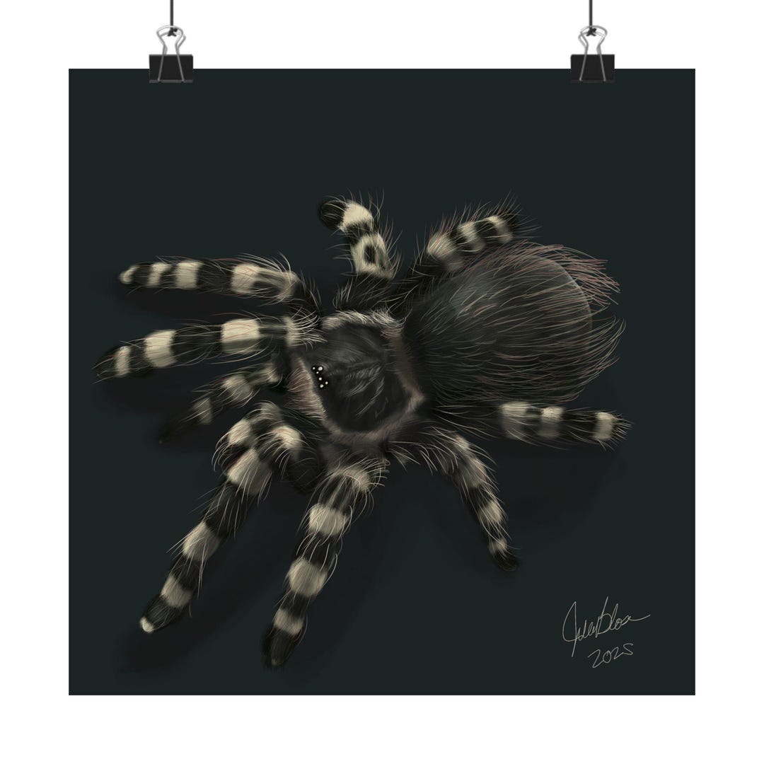 Brazilian Whiteknee Tarantula Painting, Tarantula Art, Spider Decor ...