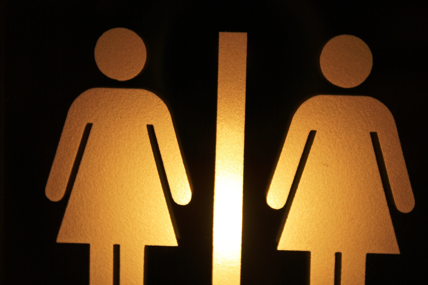 Women Restroom Nightlight / Toilette Femmes Veilleuse - Etsy