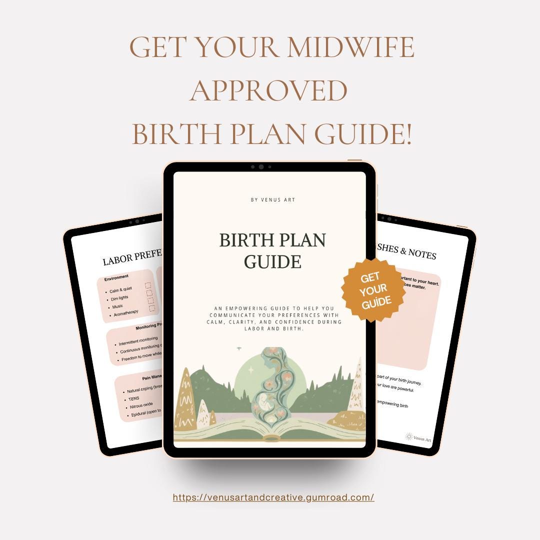 Birth Plan Printable PDF for First Time Moms, Hospital Birth Plan ...