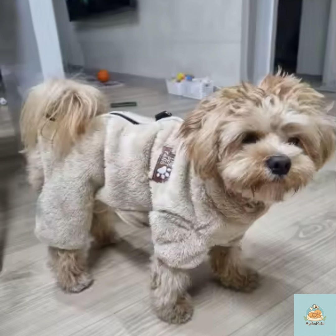 Soft Fleece Dog Winter Jumpsuit, Four Leg Plush Pet Coat With D-ring - Etsy