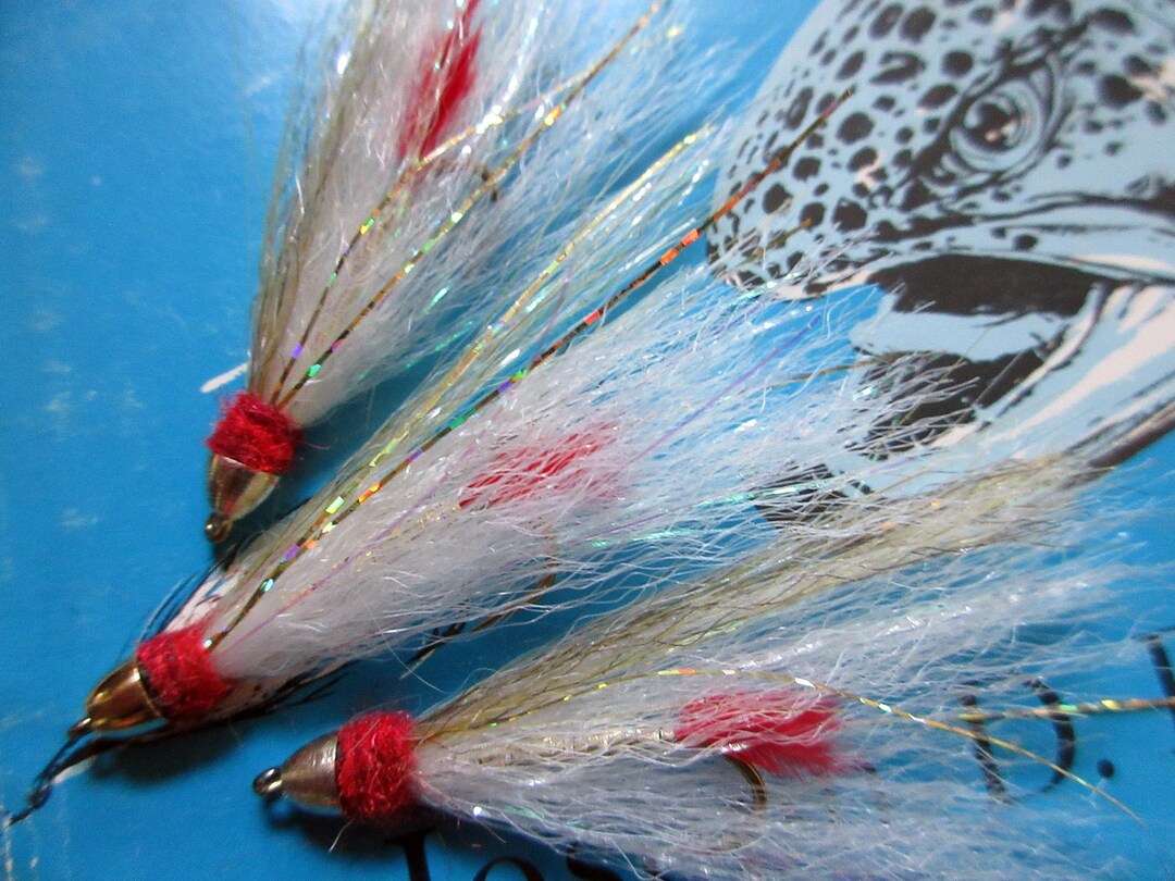 TROLLING FLYS Bullet-head Polar-flash Baitfish Minnow Fly Assortment ...